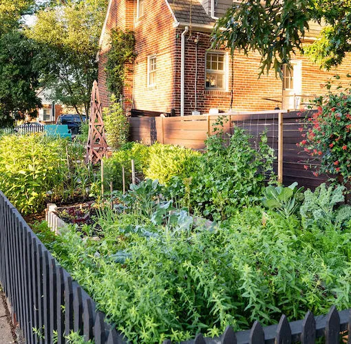 Thrive Lot - Create Your Home Ecosystem