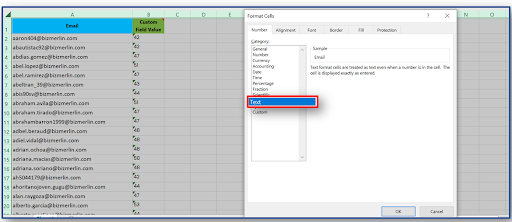 How to Import Custom Field Values