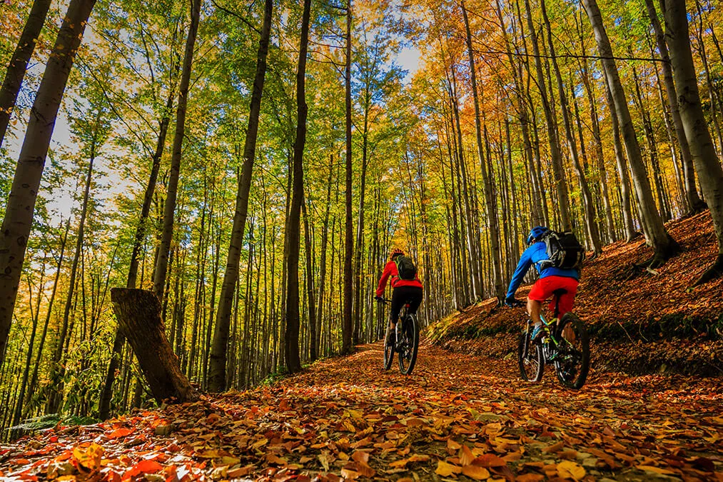 Yourte Expérience Charlevoix : Location d’hébergement en nature