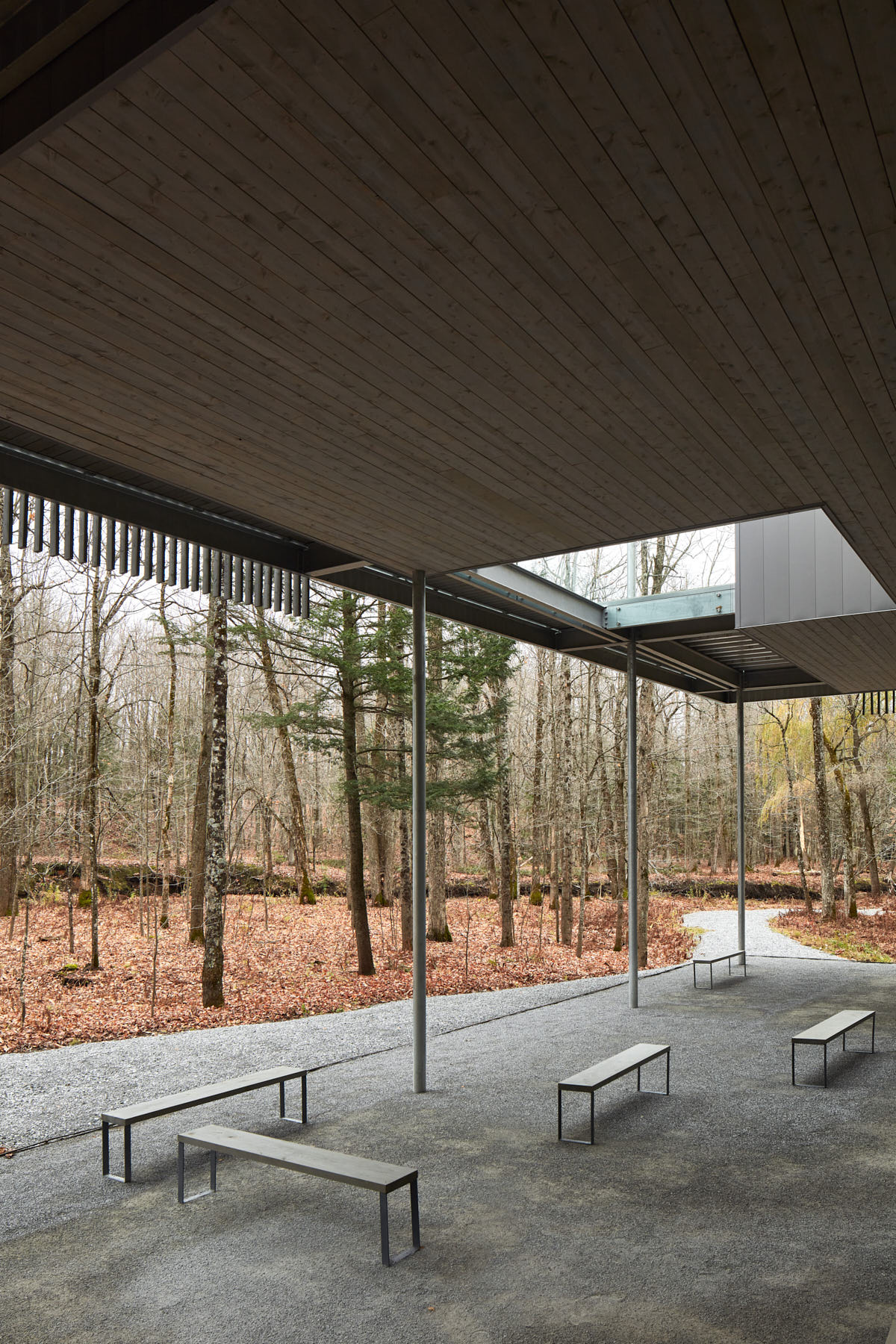 Maxime Brouillet - Photographer - Grantham Foundation