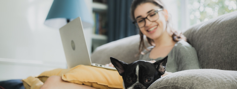 Top Streaming Service guide | HomeLinkd