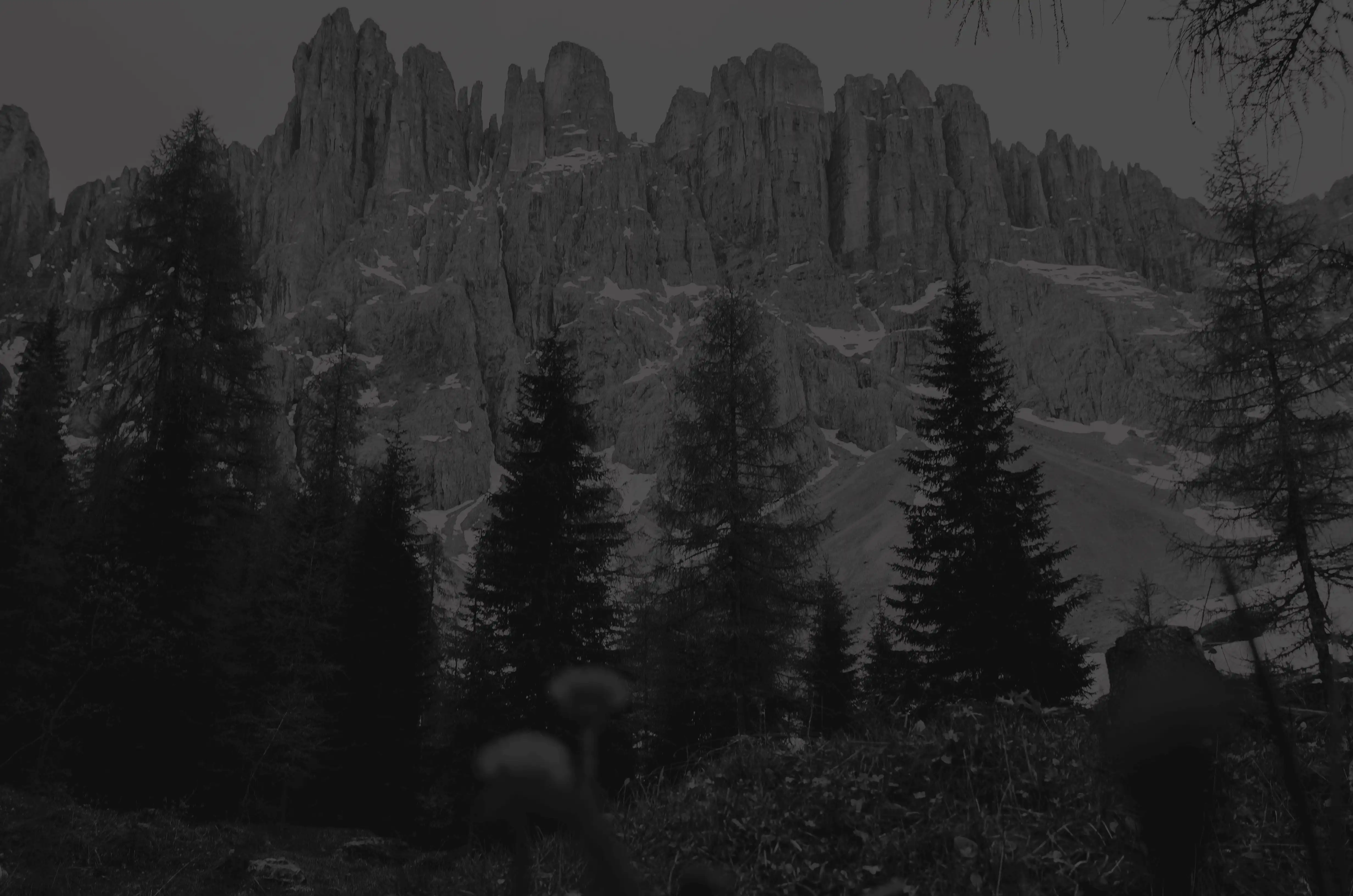 Network Device Security Review - Pentest People