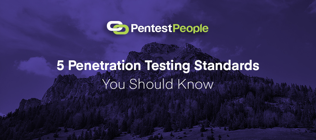 5 Penetration Testing Standards You Should Know