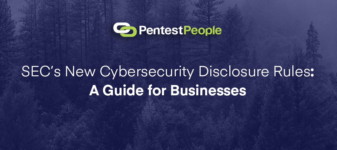 Navigating the SEC’s New Cybersecurity Disclosure Rules: A Guide for ...