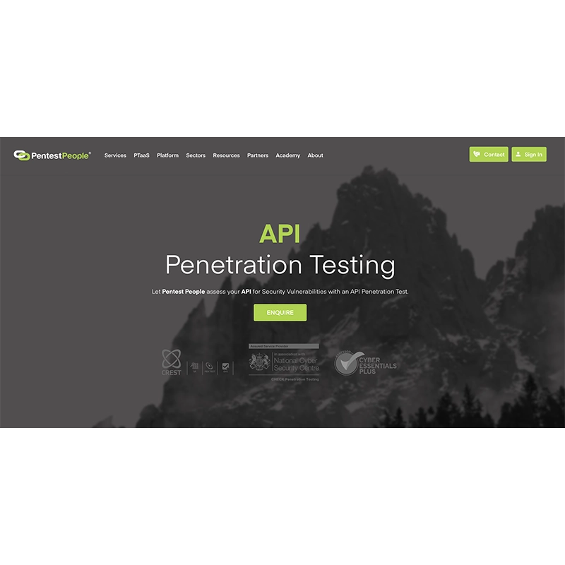 API Penetration Testing - Pentest People