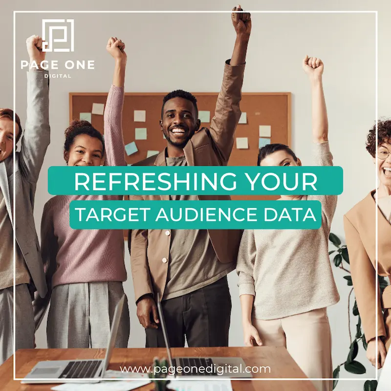 Refreshing Your Target Audience Data - Page One Digital