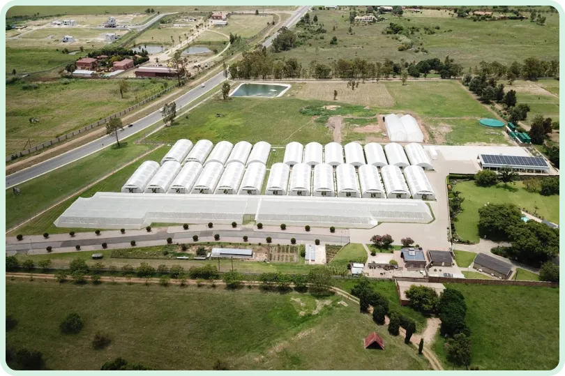 Creating Agriculture Champions - African Greeneurs