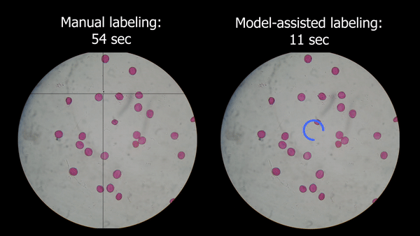 Model-assisted labeling for YOLO
