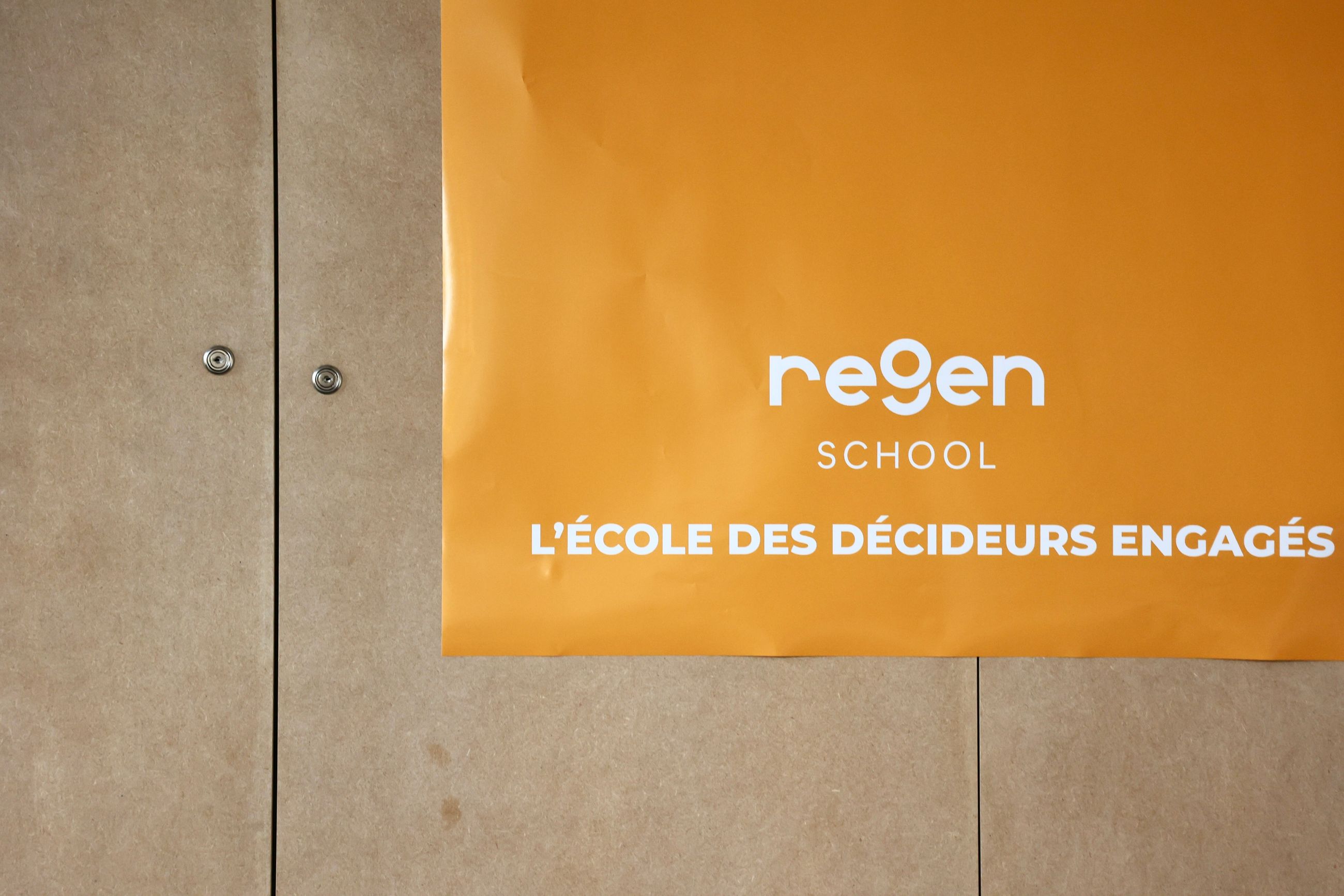 Programme Bac +3 - Transformation & Sustainability Management | Regen ...