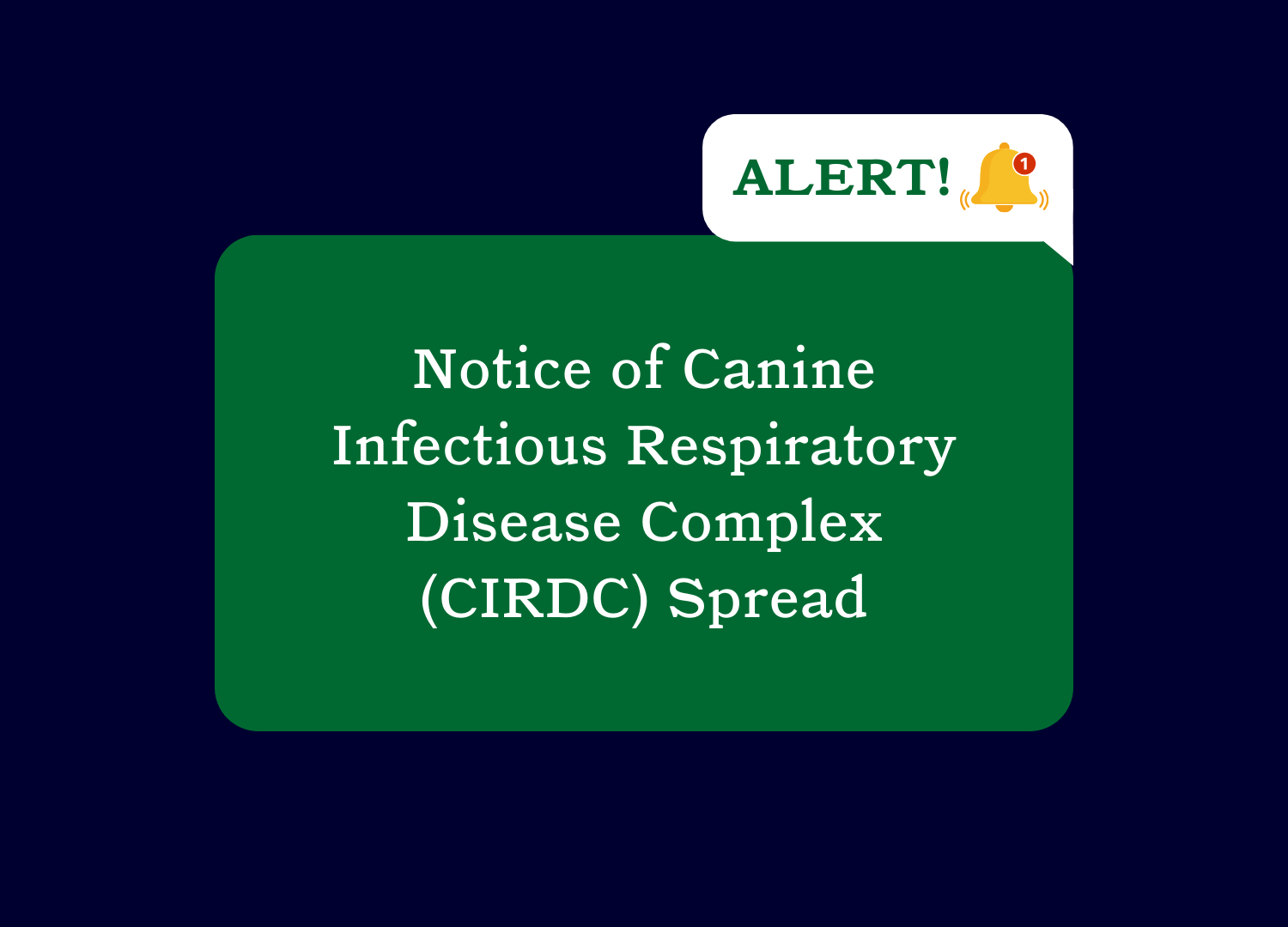 Kennel Cough Outbreak in D.C. - Things to Know