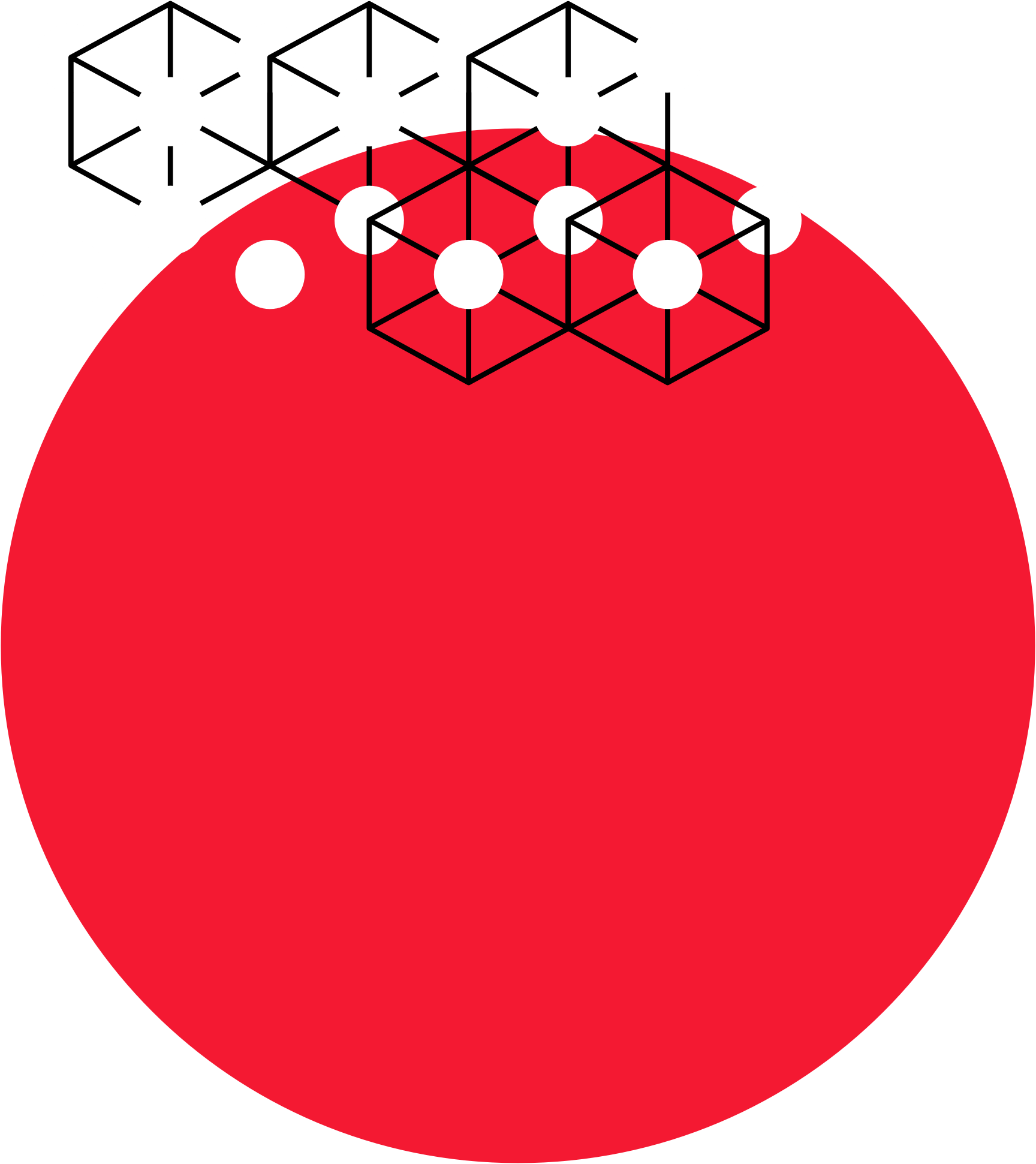 CX Program Management | Customer Experience Consulting | CX Pilots