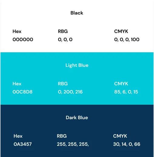 Custom Website Development Services for Record TIME | Cubit