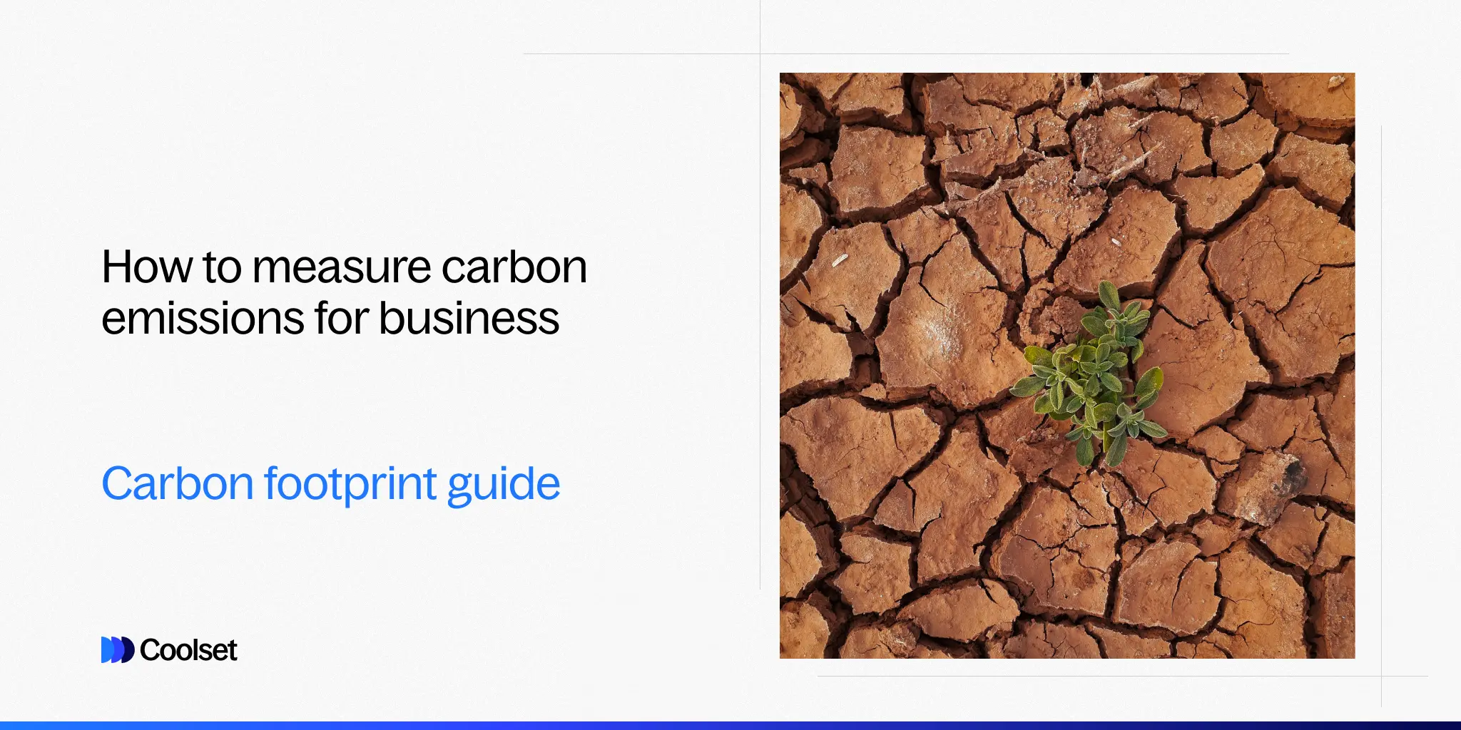 How to measure carbon emissions for business