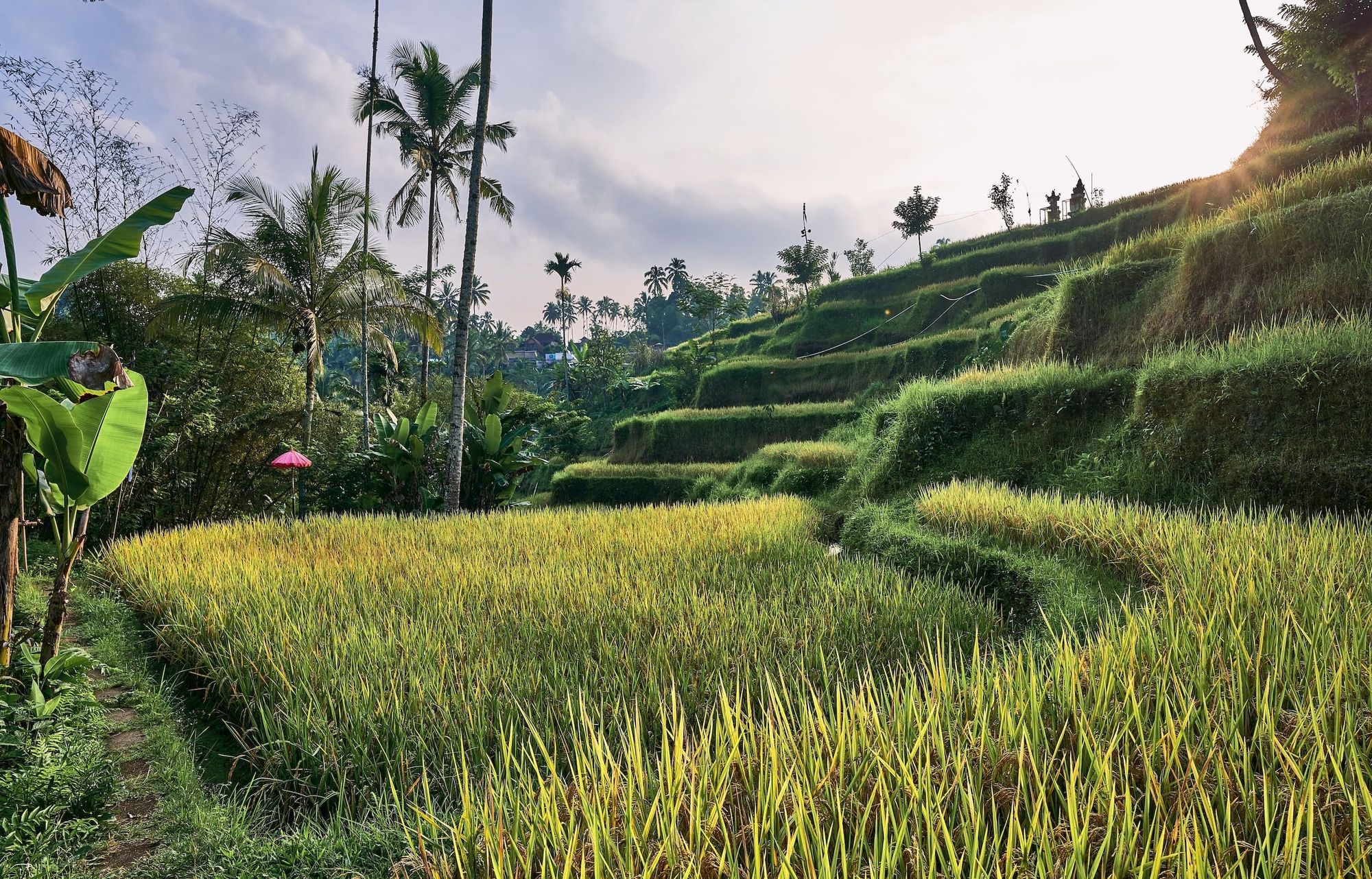 Cost of Living in Bali in 2023 : A Detailed Breakdown - Exotiq