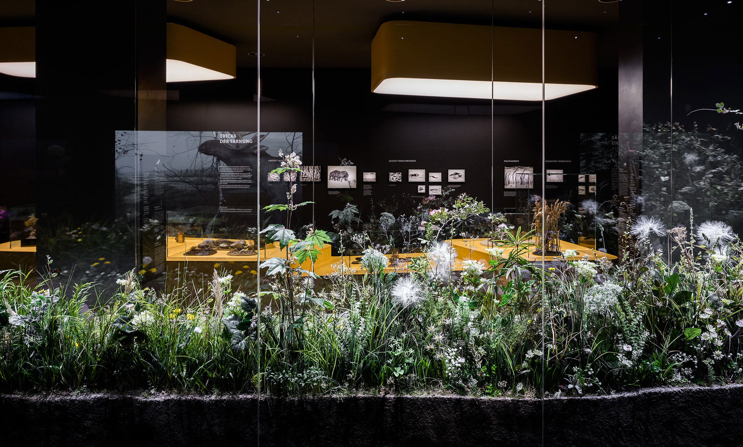 neo.studio neumann schneider architekten