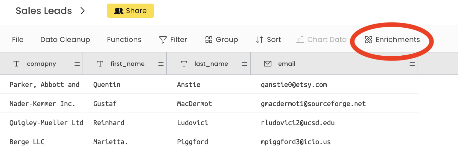 Enrich millions of contacts in a spreadsheet with the Apollo API People Enrichment