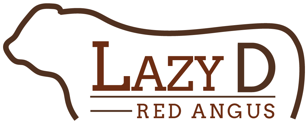 Lazy D Red Angus - Raising Our Best For your Success