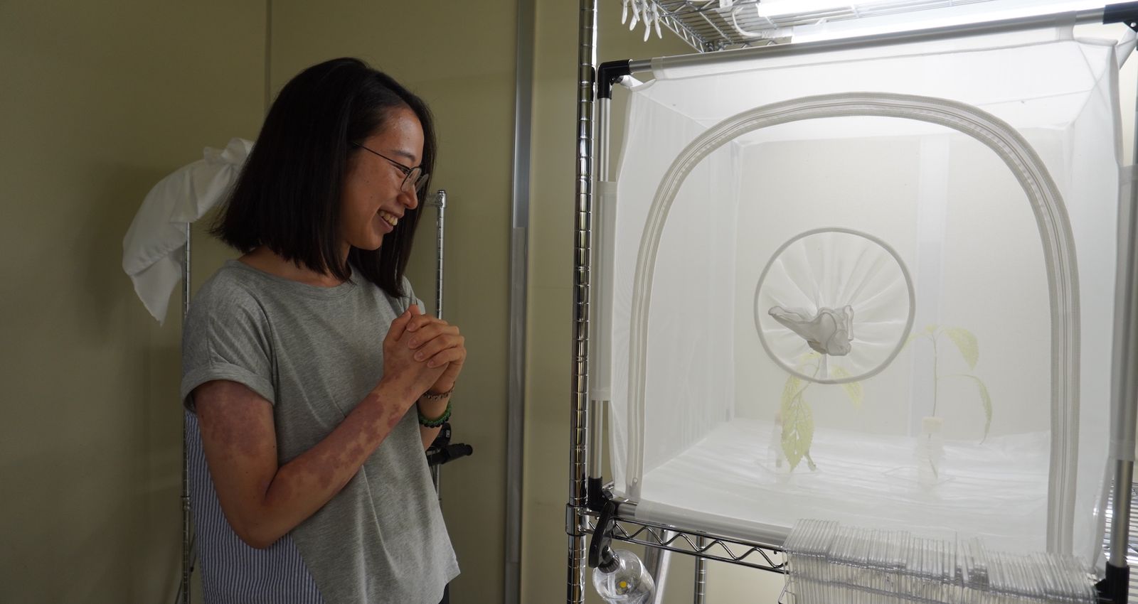 研究の道に進んだきっかけは？ | 小石川植物祭 2023 #3 | Dear Tree Map