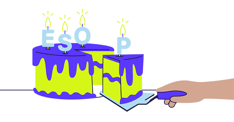 Employee Stock Options: A Practical Guide for Startups
