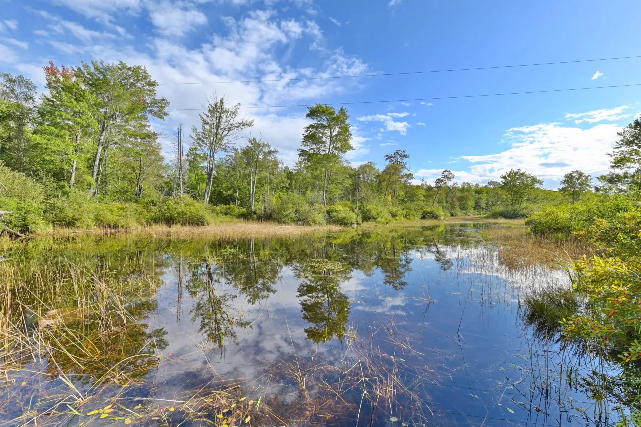 0 Veley Road, Arden ON, K0H 1B0 | For Sale