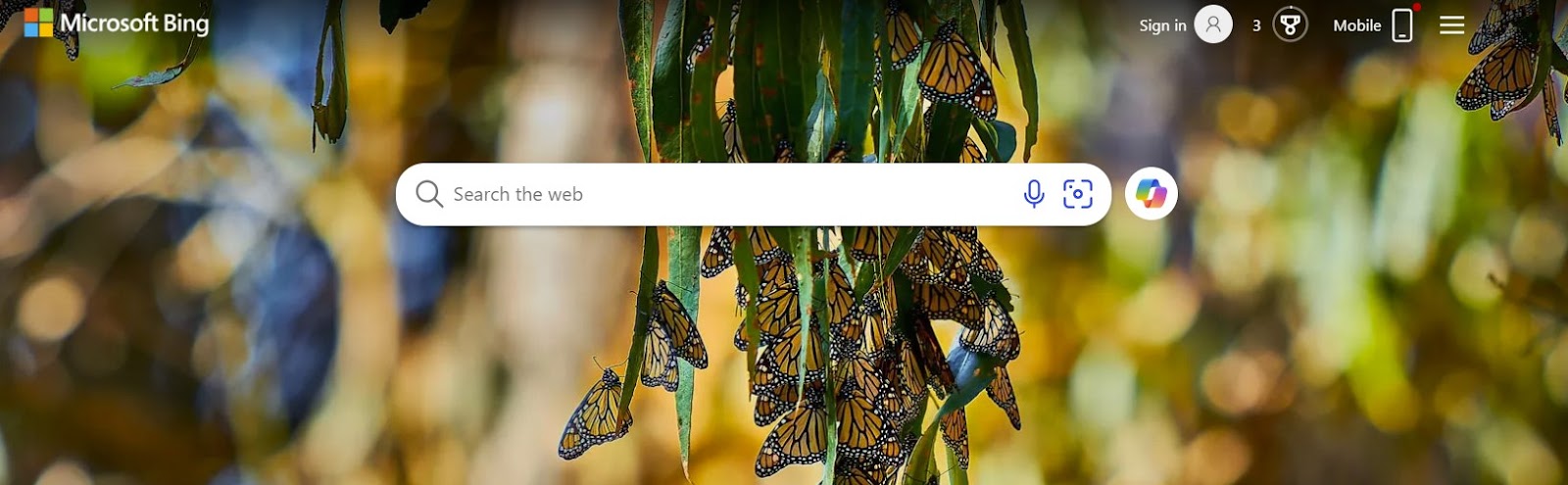 Google VS Bing: Comparison of Two Big Search Engines - SEOmator