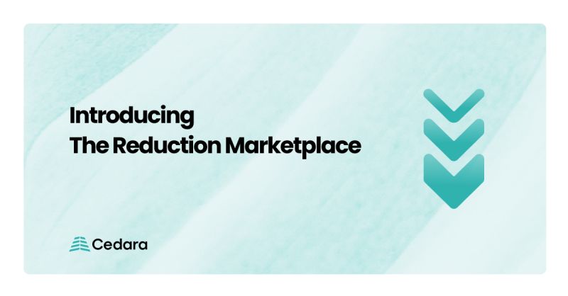 Cedara Launches Reduction Marketplace- Cedara Company Updates