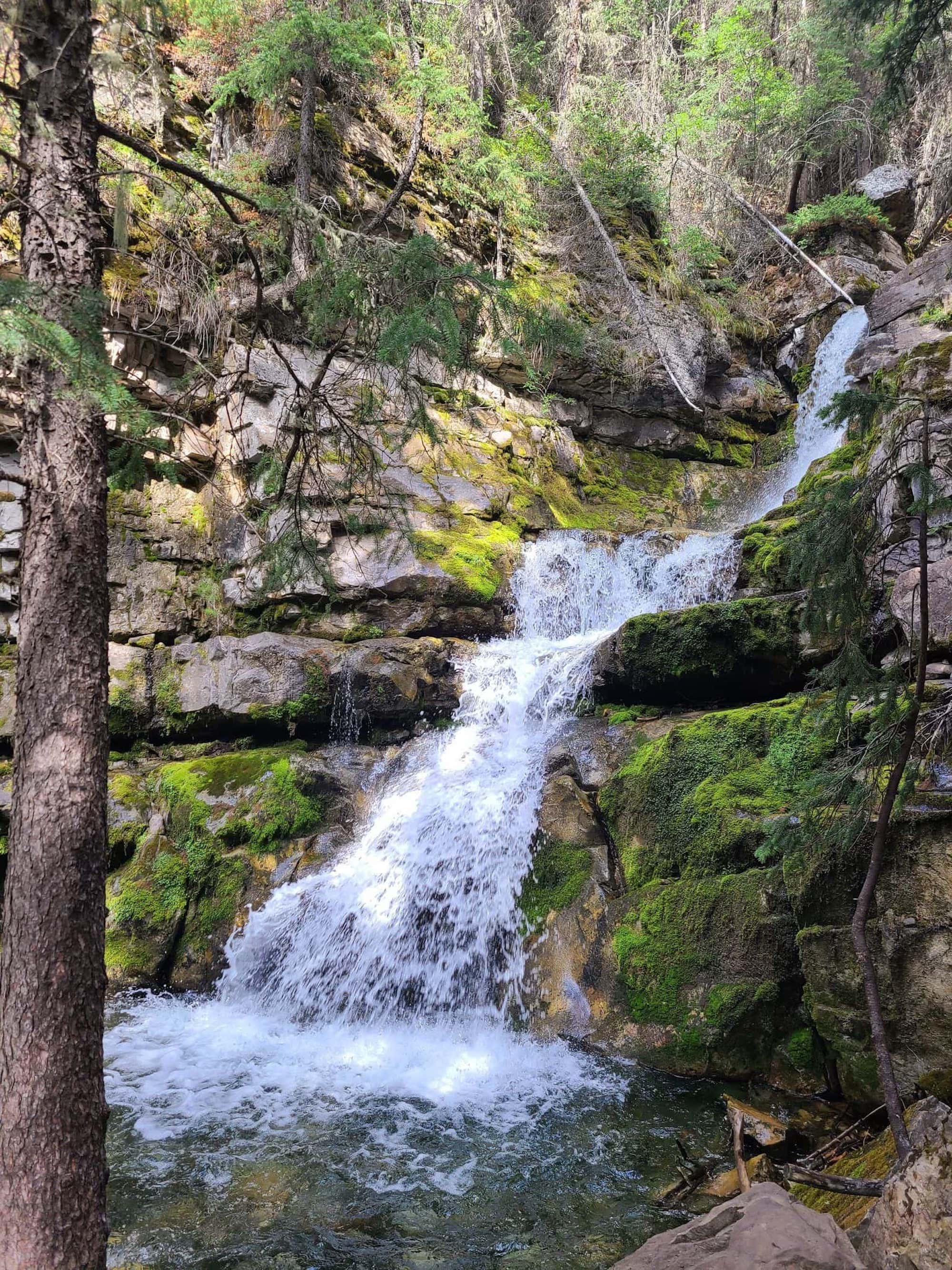 Top 7 ‘Locals Approved’ Waterfall Hikes in the Bow Valley | Basecamp ...