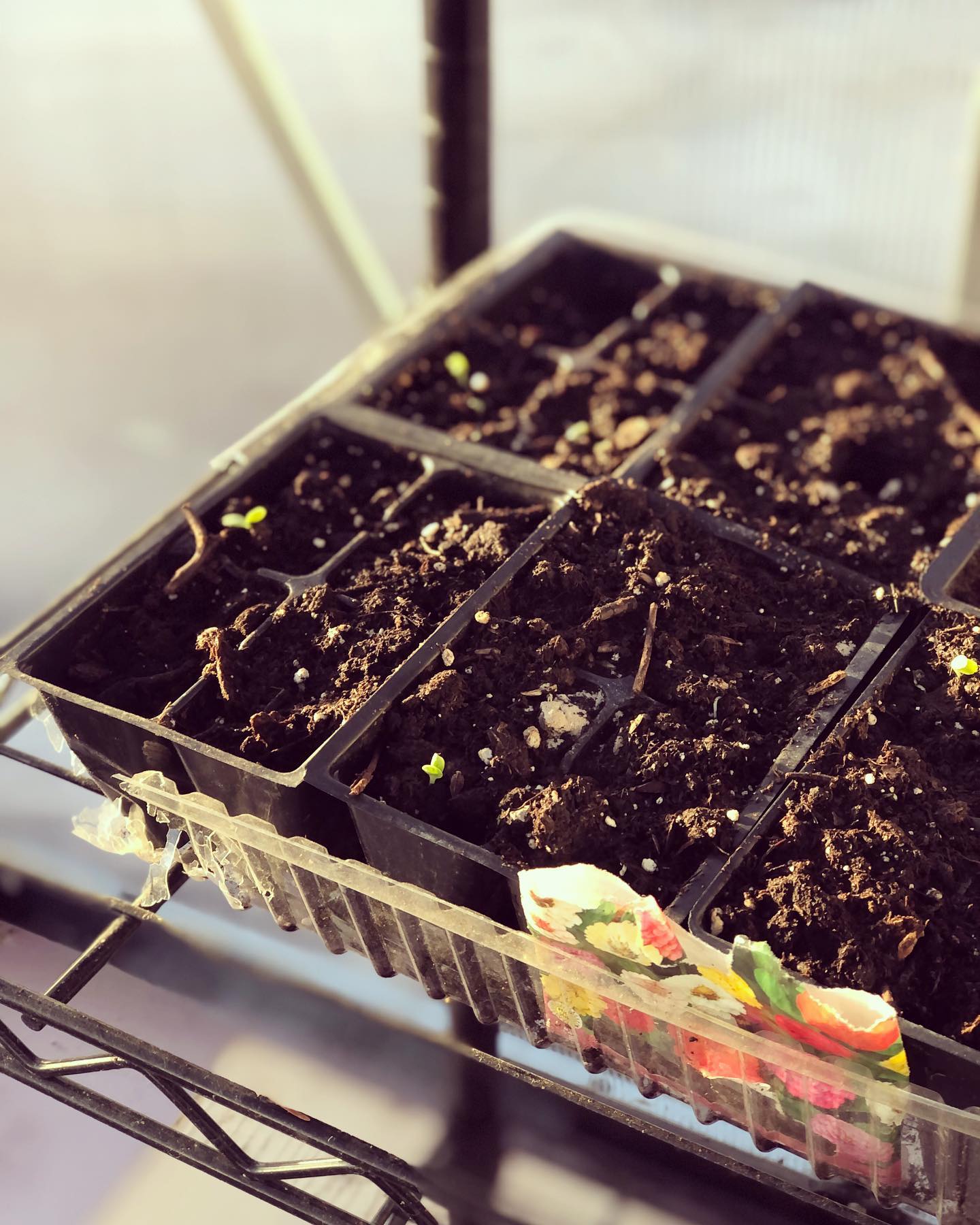 Cady Acres — Twin Cities Area Rustic Wedding Barn Venue