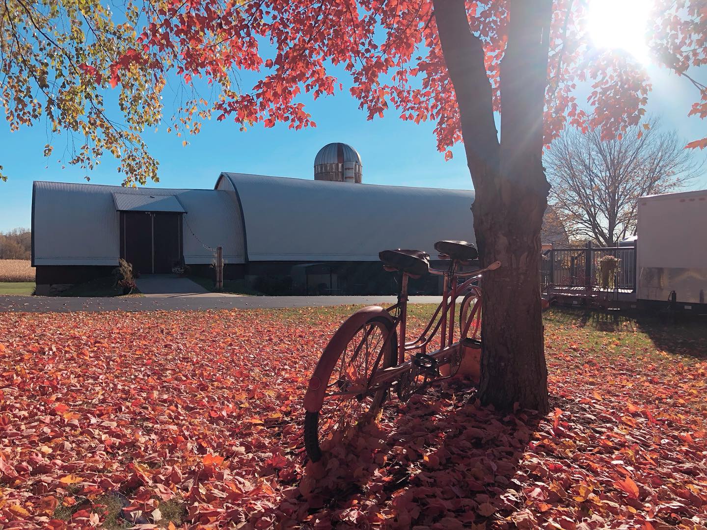 Cady Acres — Twin Cities Area Rustic Wedding Barn Venue