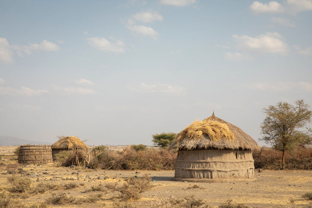 Surviving the Ages: The Unique Hadza Tribe of Tanzania - Apricous