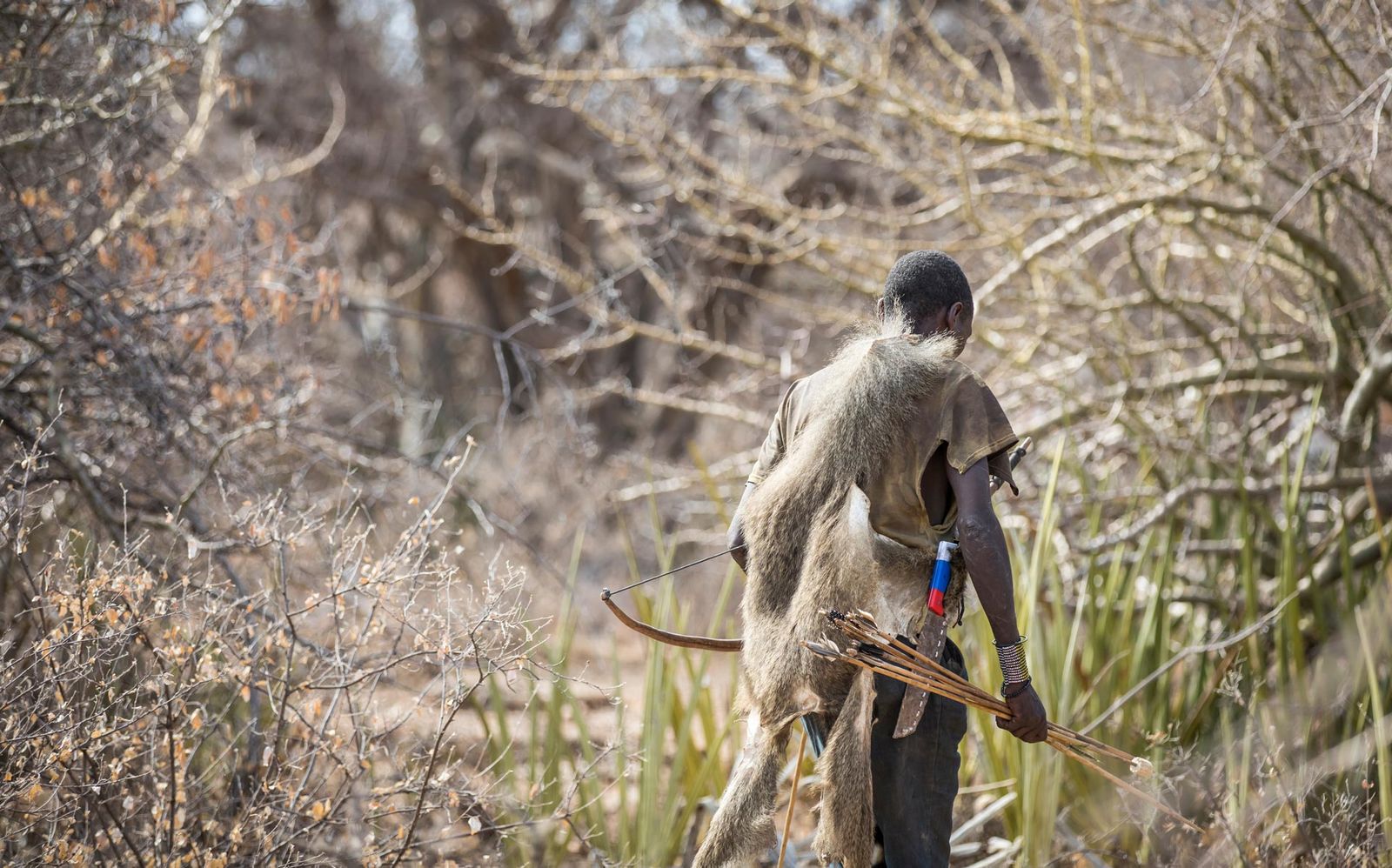 Surviving the Ages: The Unique Hadza Tribe of Tanzania - Apricous