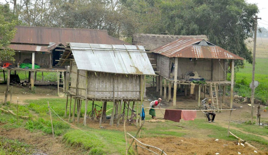 Tribe of North East – Mising People - Apricous