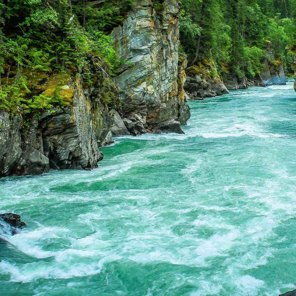international-day-of-action-for-rivers-2023-history-importance-how