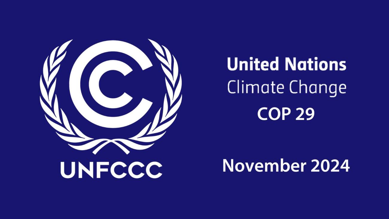 Everything You Need to Know about COP29 in Baku!