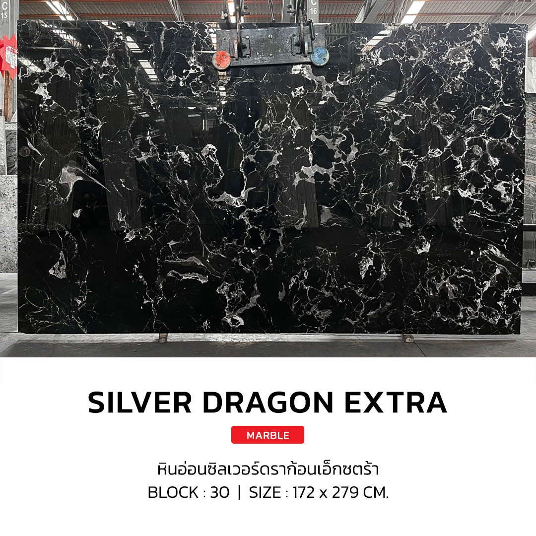 SILVER DRAGON EXTRA