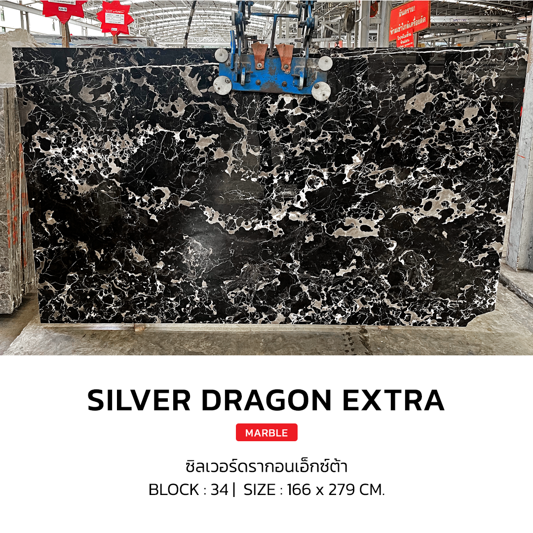 SILVER DRAGON EXTRA