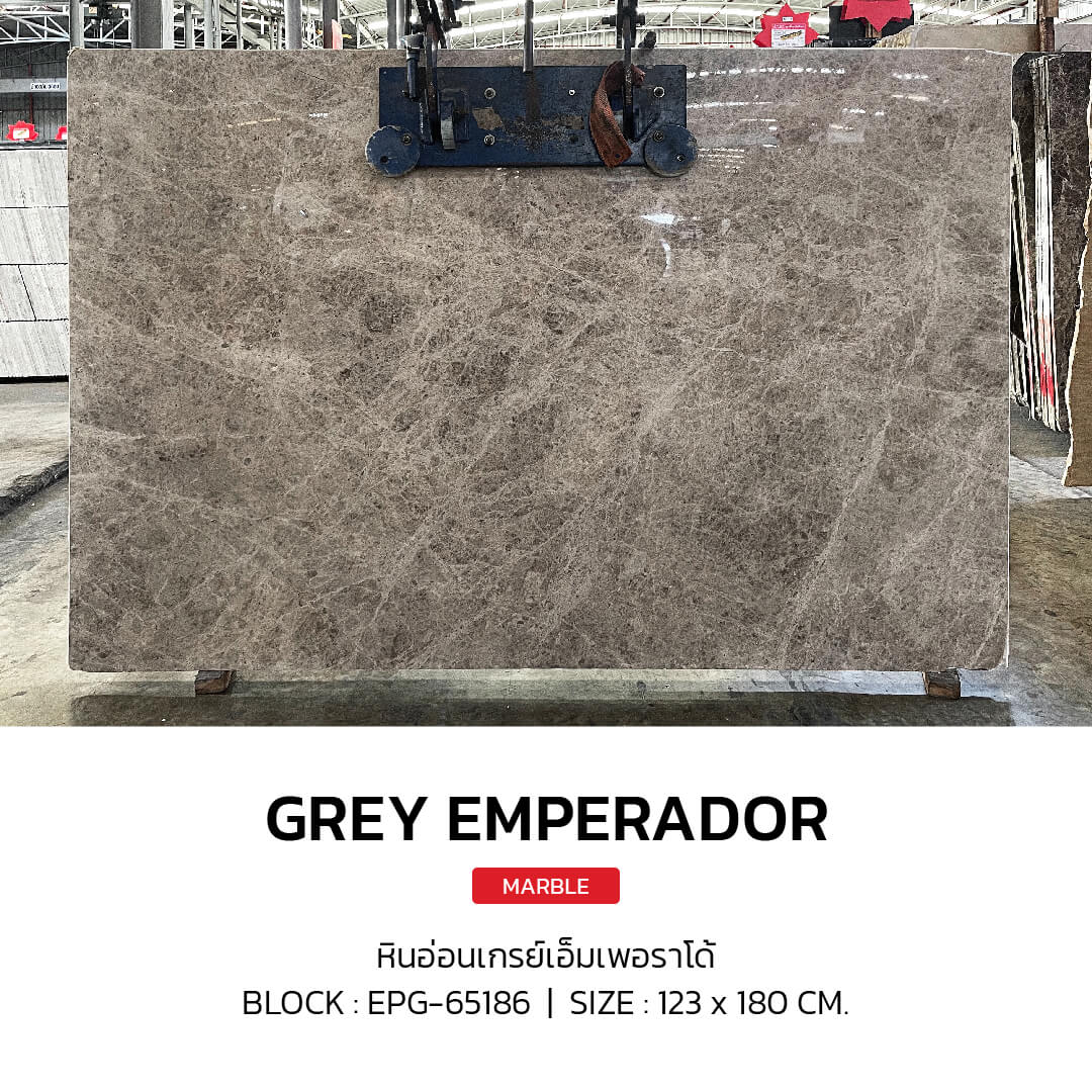 GREY EMPERADOR