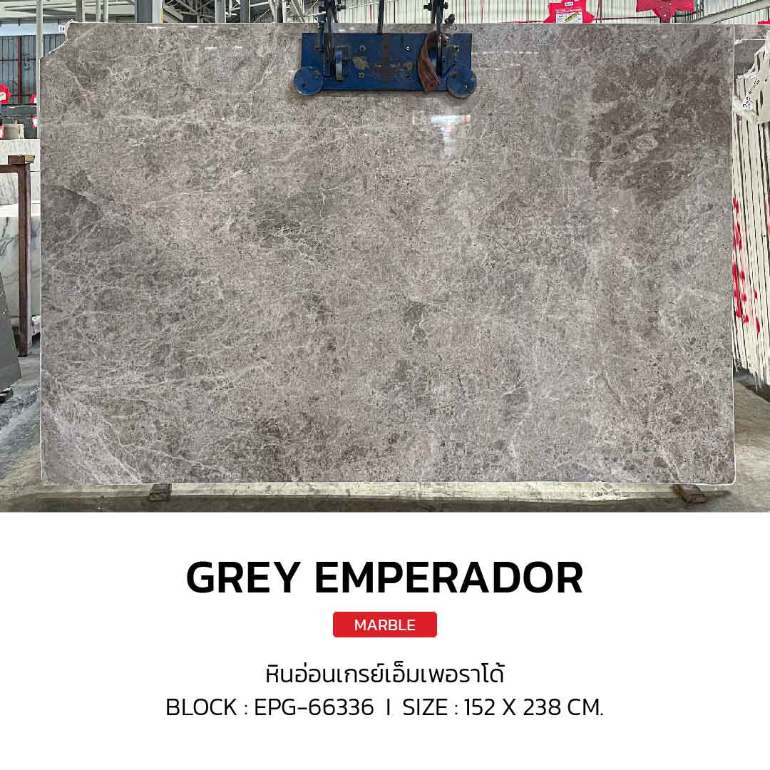GREY EMPERADOR