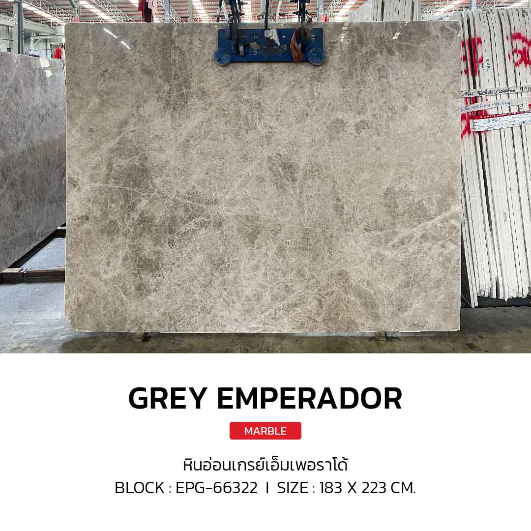 GREY EMPERADOR