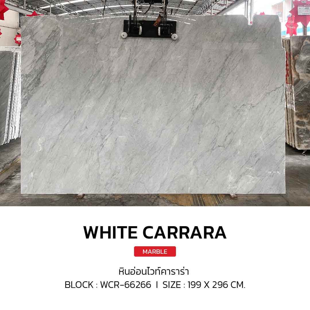 WHITE CARRARA