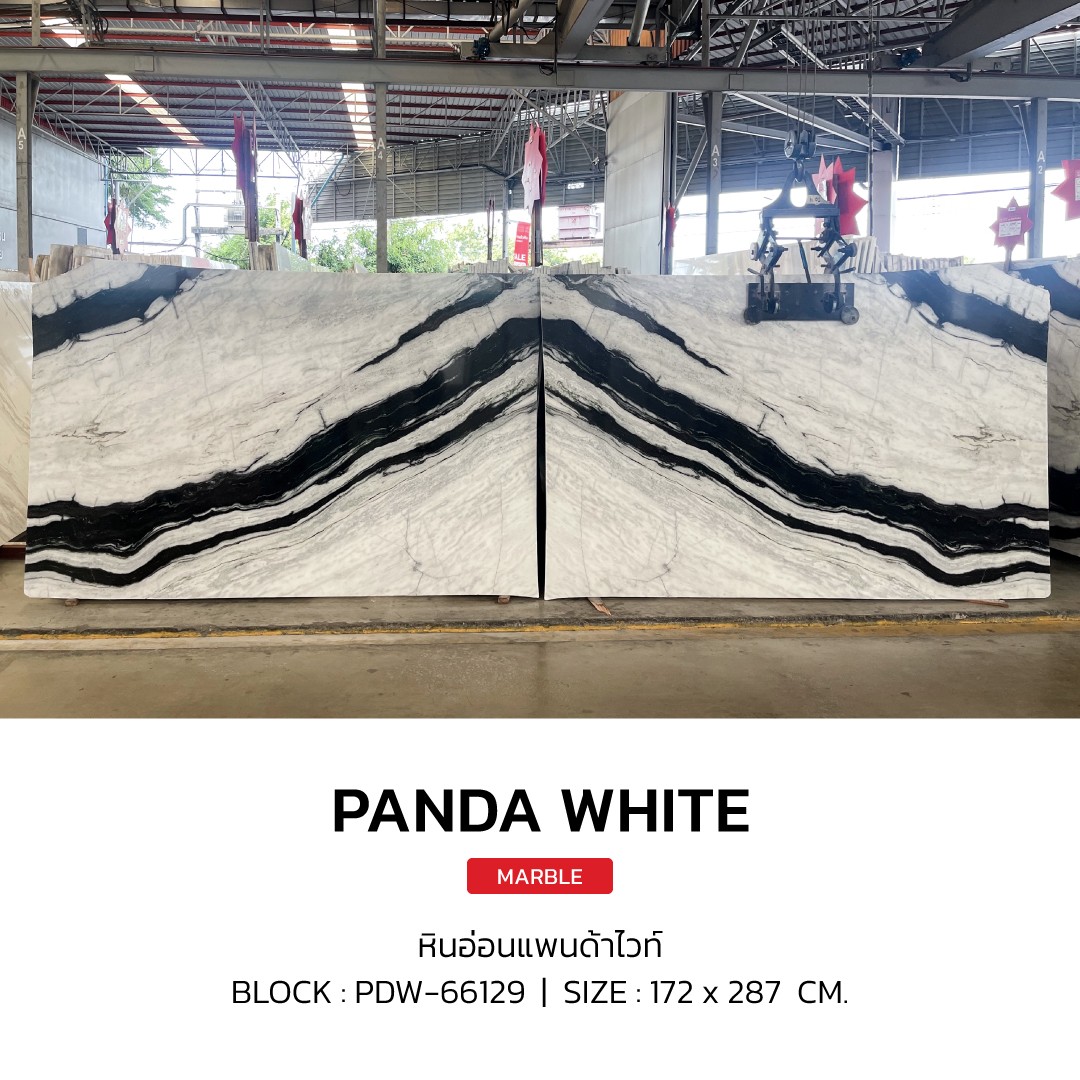 PANDA WHITE