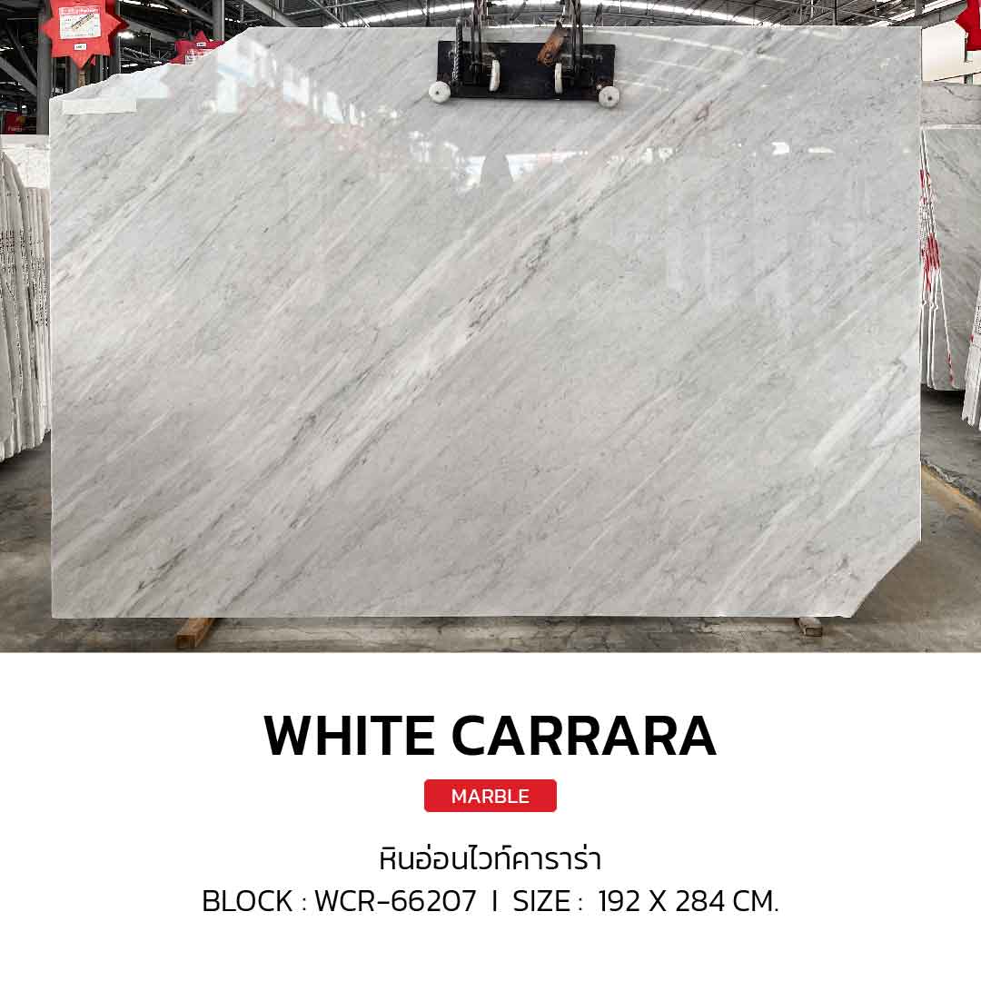 WHITE CARRARA