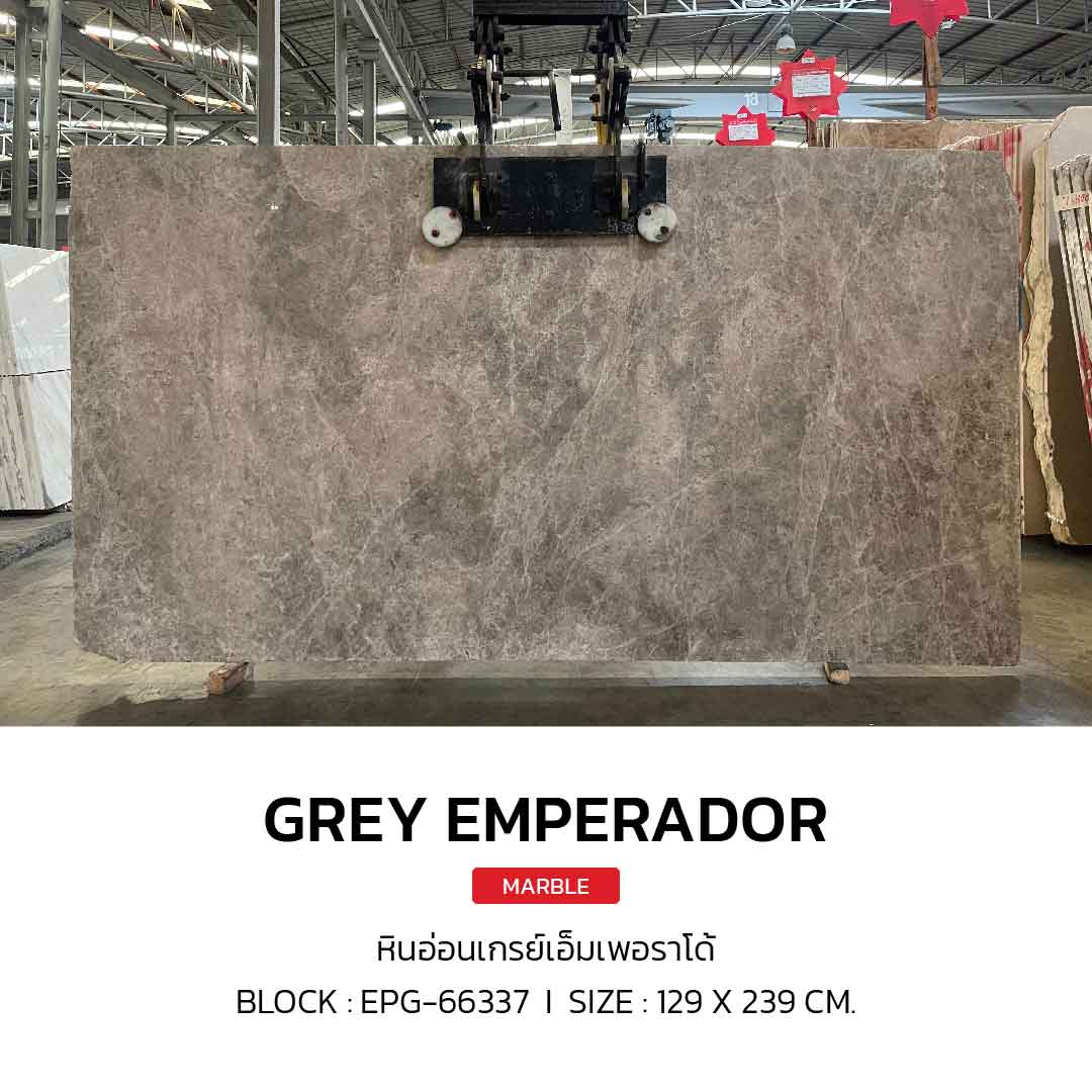 GREY EMPERADOR