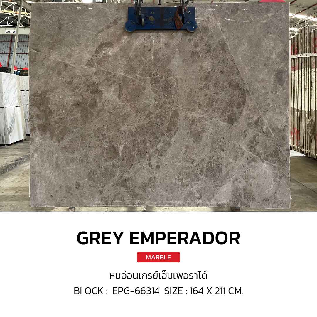 GREY EMPERADOR