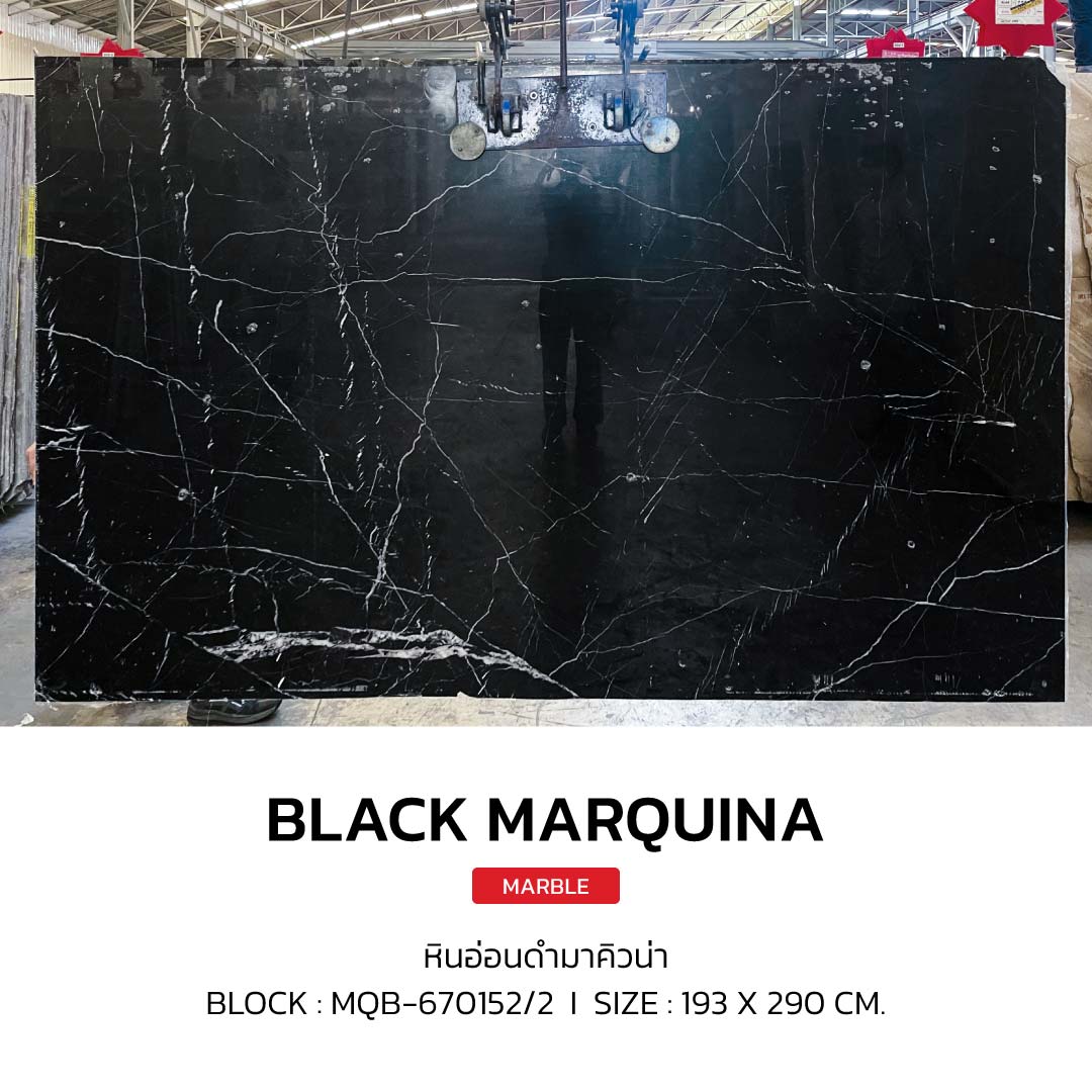 BLACK MARQUINA