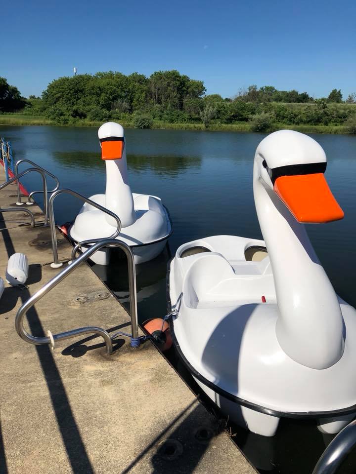 Compare Group Packages and Events for a Blast at Craig's Cruisers