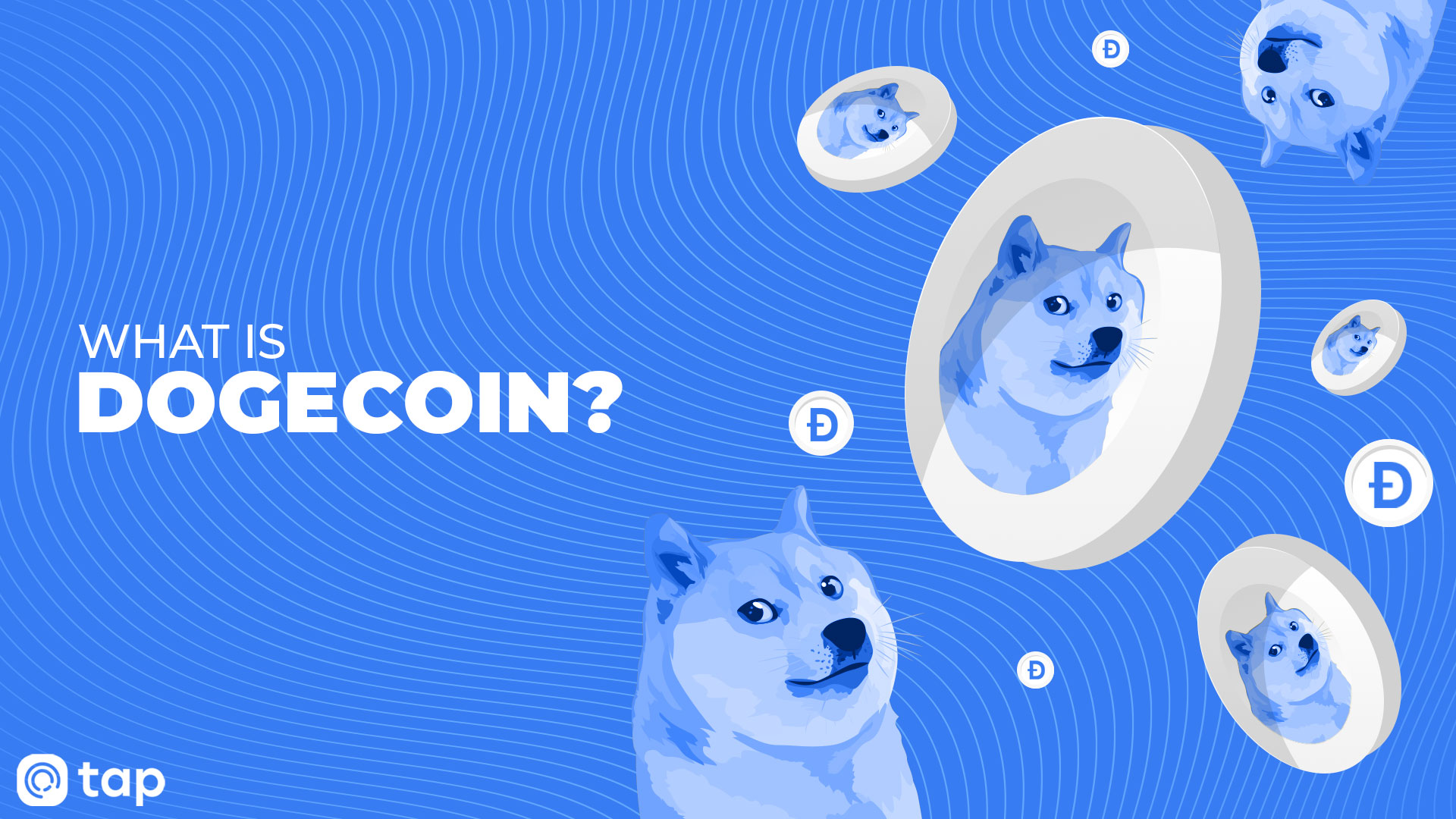 What is Dogecoin? | Tap