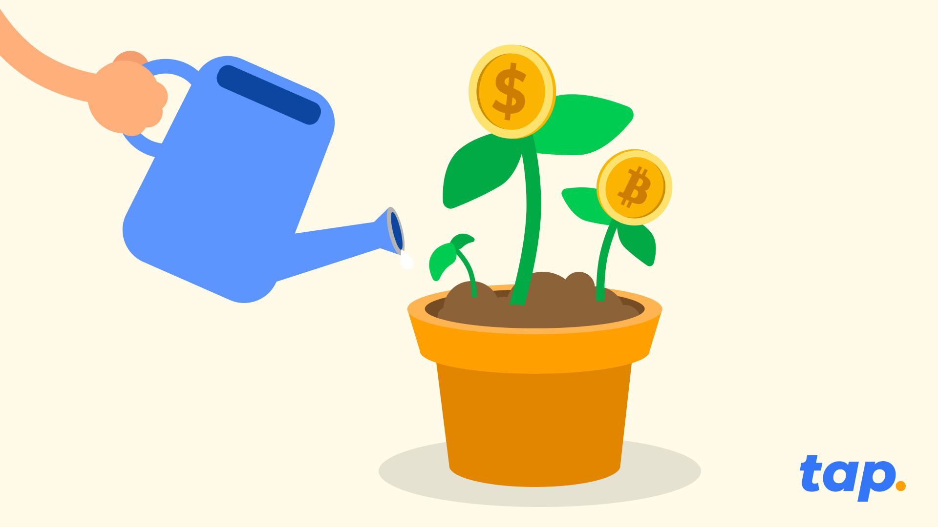 How to build a balanced crypto portfolio