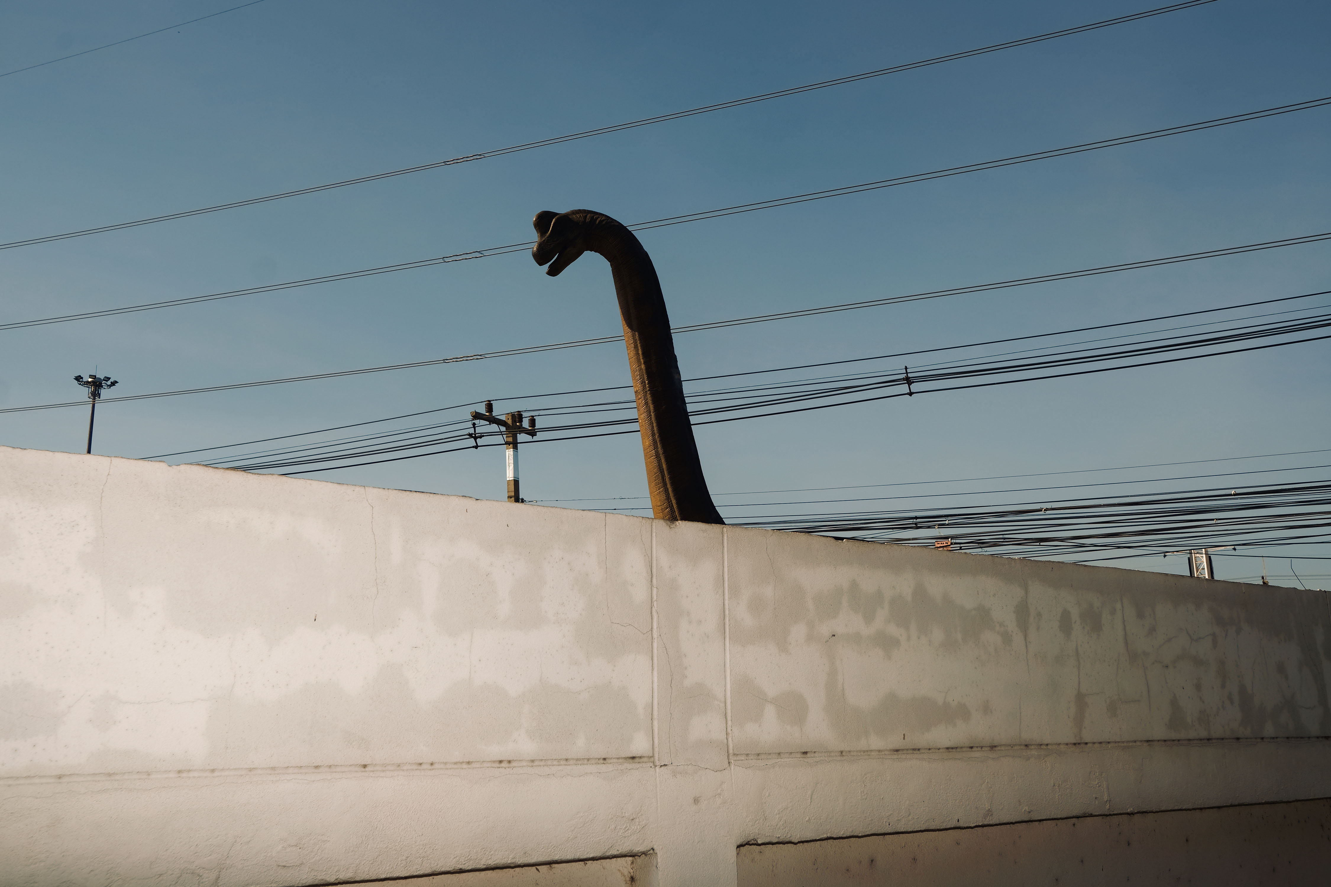 BSPF – Discover the BSPF 2023 winners