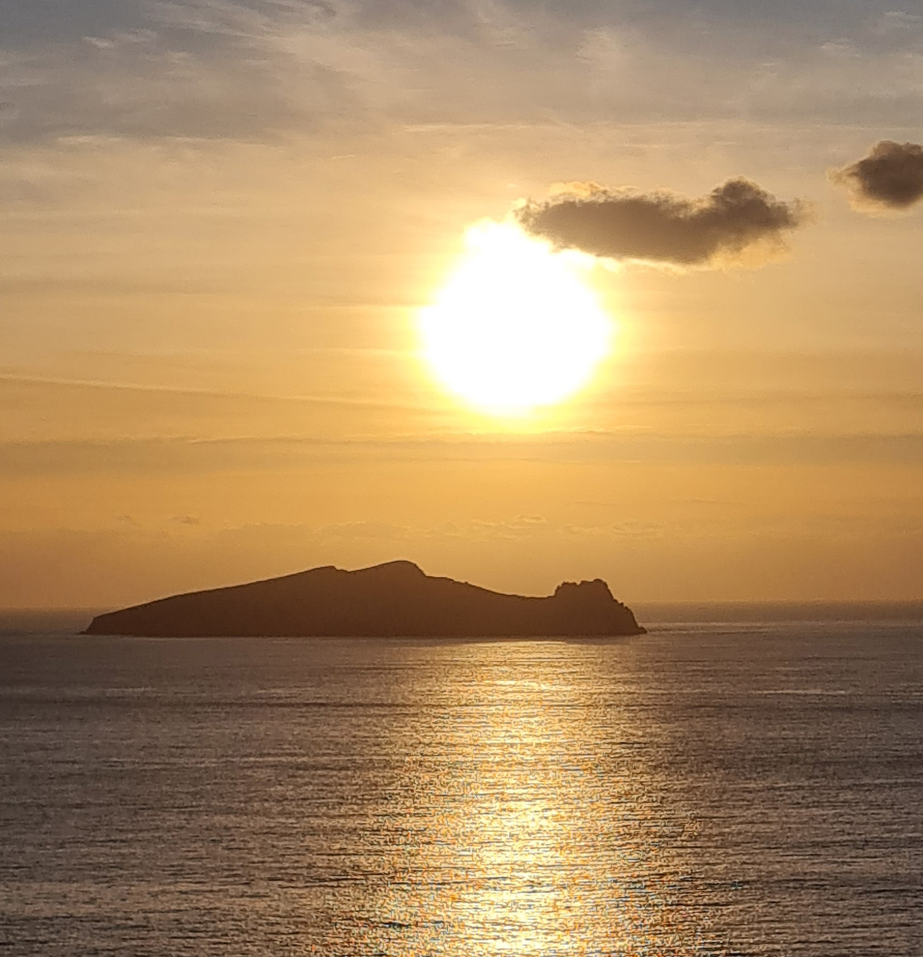 Discover Marine Wonders on Dingle's Sea Life Boat Tour to Blasket Islands